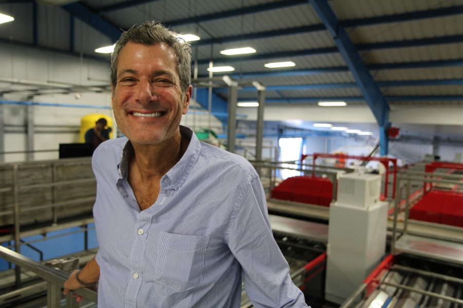 Hope on the horizon for strawberry workers? - Homelands Productions